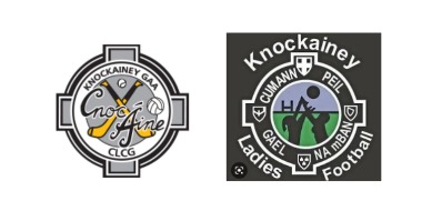 Knockainey LGFA & GAA Darkness into Light Walk in aid of Pieta 2025 ...